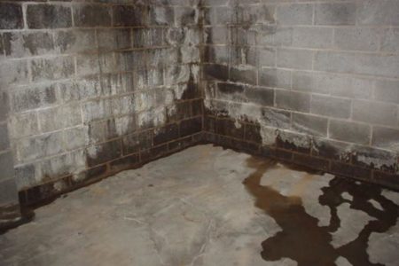 English Major Contemplates Symbolism of Soaked Frat Basement Walls ...